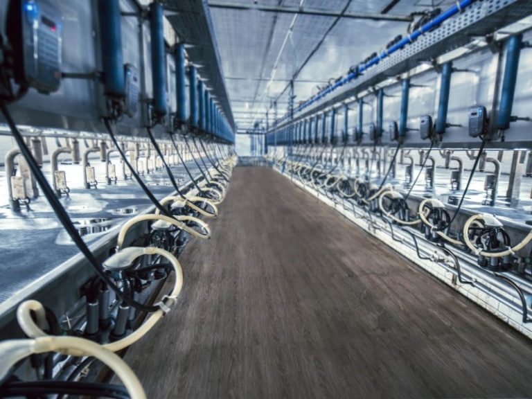 Polymer Solutions for Industry | Sigma Polymer Group